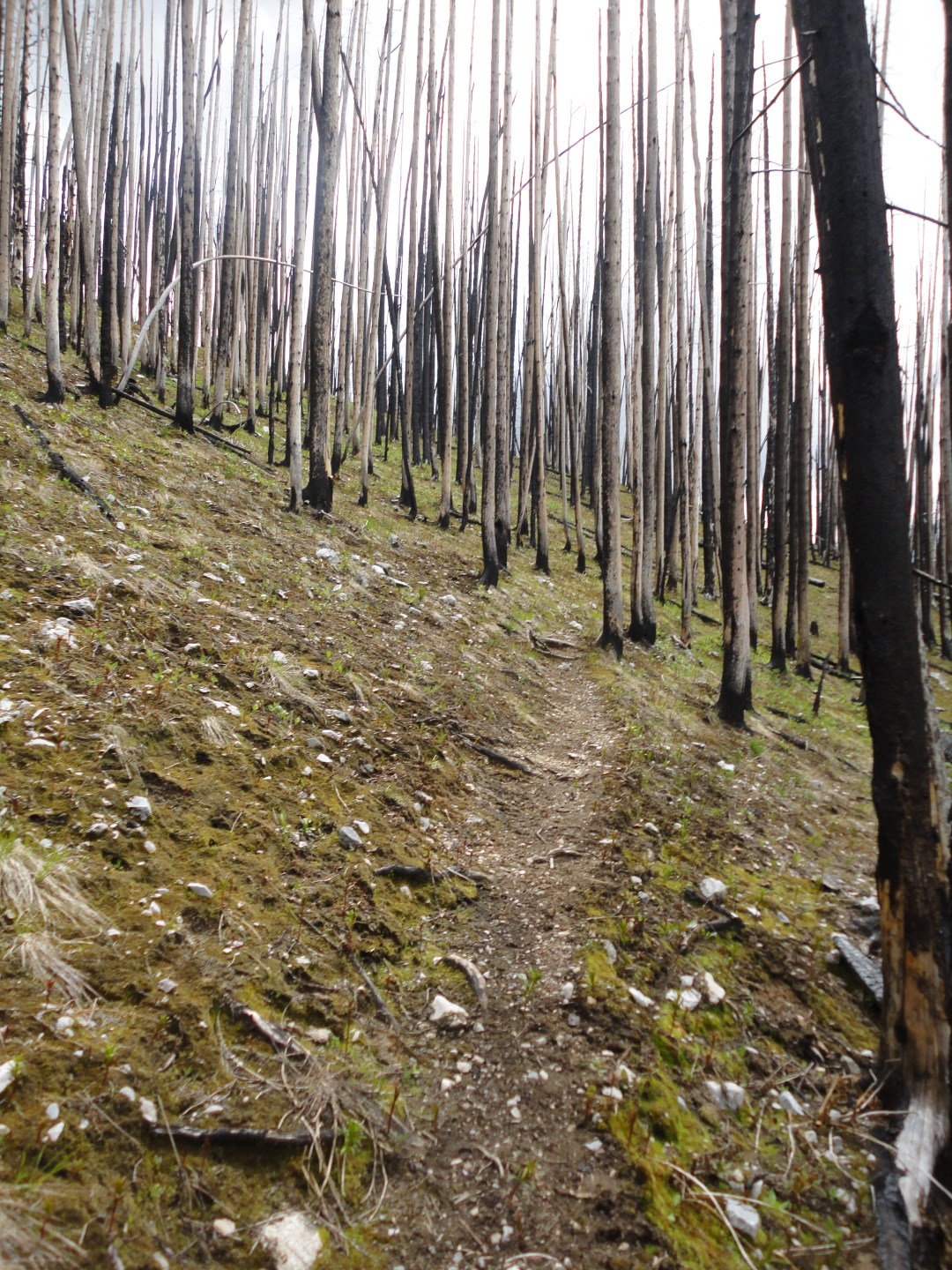 Marble-Range-0031.jpg | The Camping Canucks